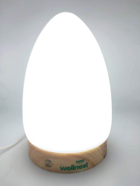 Wellnest Light Therapy Lamp – Deep End Pools